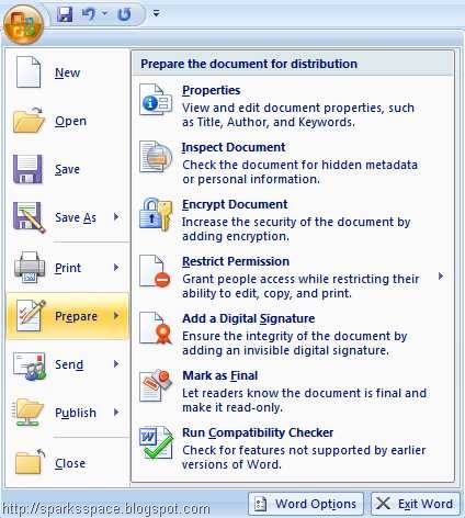 How to Use Document Inspector in Word 2007 | SparksSpace